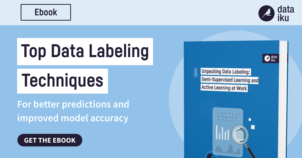 Technical Ebook: Unpacking Data Labeling Technical Ebook: Unpacking Data Labeling